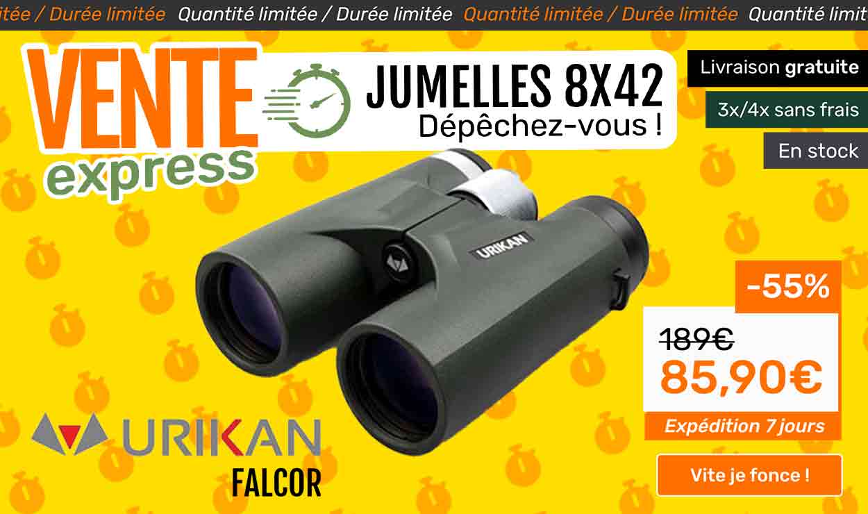 Vente Express - Jumelles Falcor 8x42 - NaturaBuy